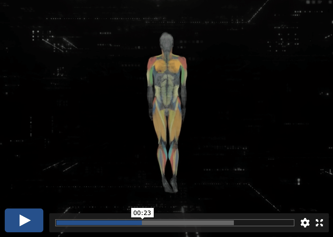 AMRA Webinar: Whole-Body MRI Composite Scoring in Neuromuscular Disease ...